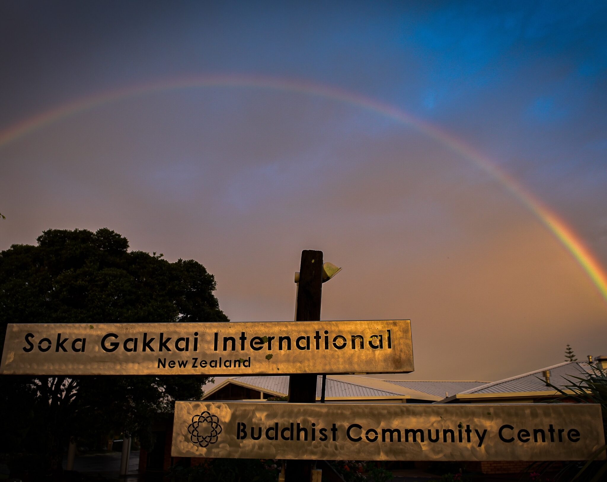 Contact – SGI New Zealand